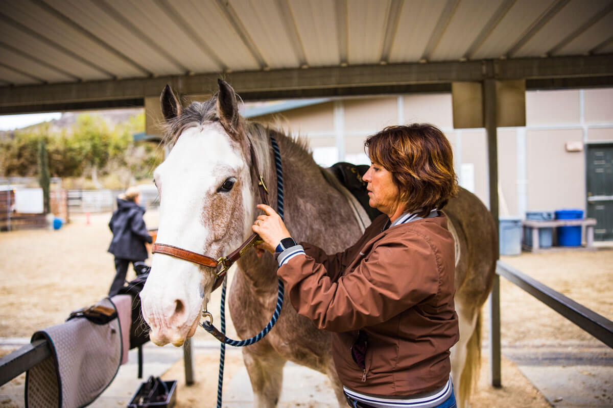 Training Our Staff - The Shea Center – For Therapeutic Riding